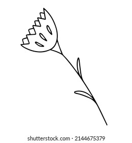 Delicate Black White Sketch Spring Flower Stock Vector (Royalty Free ...