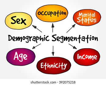 Demographic Segmentation Mind Map Flowchart Social 스톡 벡터(로열티 프리 ...