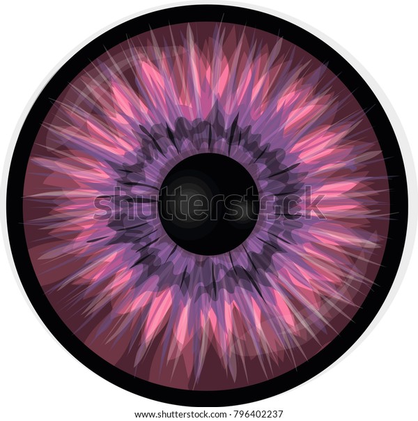 Demonic Eye Iris Pink Eye Vectot Stock Vector (Royalty Free) 796402237 ...