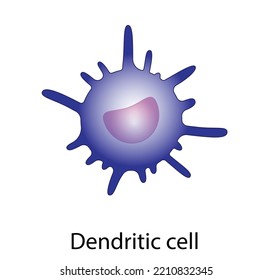 Dendritic Cell Immune System Stained Microscopic Stock Vector (Royalty Free) 2210832345 ...