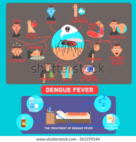 Dengue Fever Infographics Flat Vector Illustration Stock Vector ...