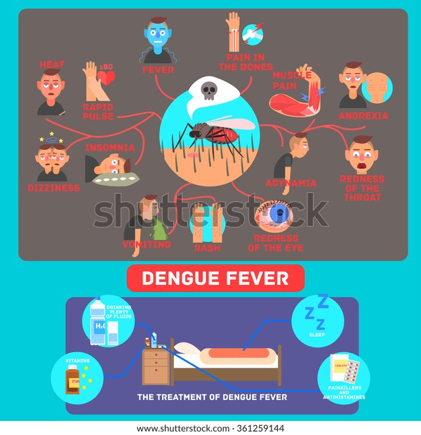 Dengue Fever Infographics Flat Vector Illustration Stock Vector ...