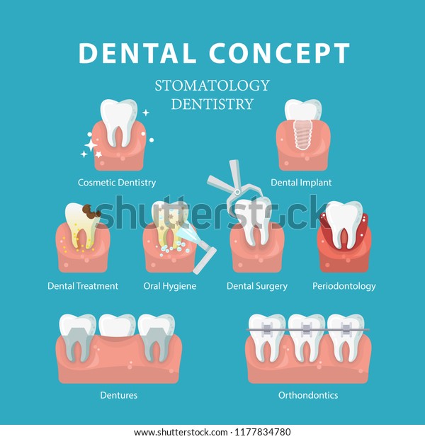 Dental Concept Vector Poster Dentistry Stomatology Stock Vector ...