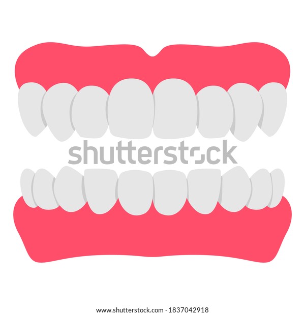 Vektor Stok Denture Teeth Vector Cartoon Illustration Isolated (Tanpa ...