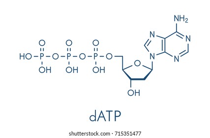 Dudp Deoxyuridine Diphosphate Nucleoside Molecular Structure 库存矢量图（免版税 ...