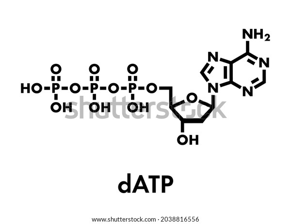 Nukleotid-Molekül Deoxyadenosin-Triphosphat (dATP). DNA-Baustein ...