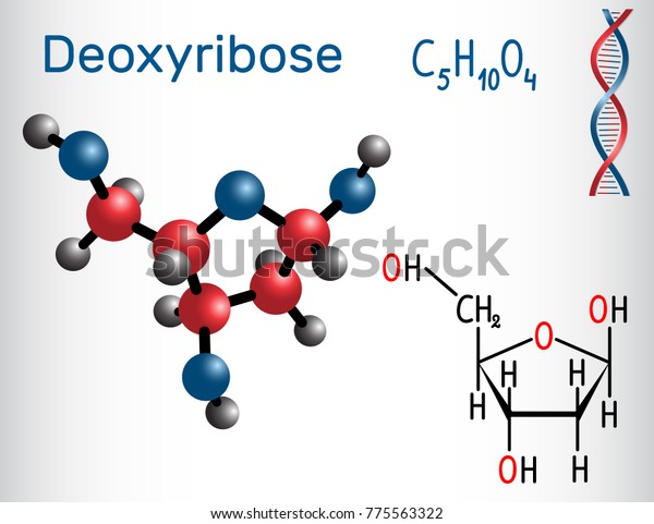 Deoxyribose Molecule Monosaccharide Deoxy Sugar Forms Stock Vector ...