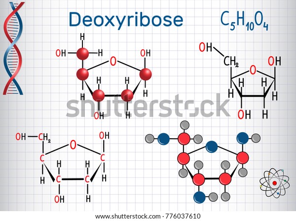 Deoxyribose Molecule Monosaccharide Deoxy Sugar Forms Stock Vector ...