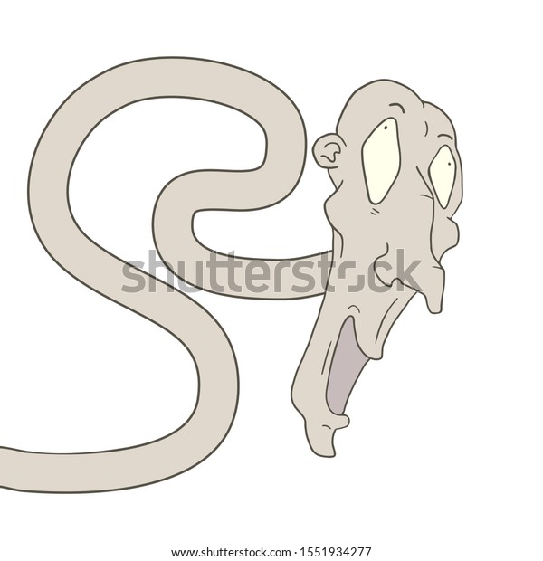 Design Funny Head Long Neck Stock Vector (Royalty Free) 1551934277 ...