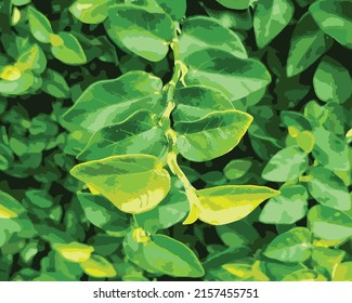 11,187 Creep vector Images, Stock Photos & Vectors | Shutterstock