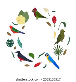 62 Eclectus parrot drawing Images, Stock Photos & Vectors | Shutterstock