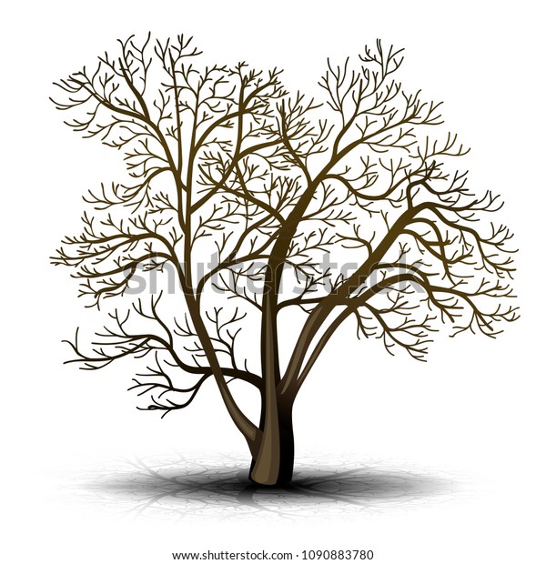 Detached Tree Without Leaves On White Stock Vector (Royalty Free ...