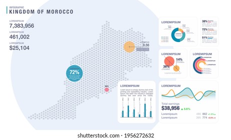 Detail Infographic Vector Illustration Map Morocco Stock Vector ...