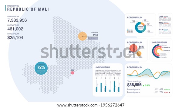 Detail Infographic Vector Illustration Map Mali Stock Vector (Royalty ...