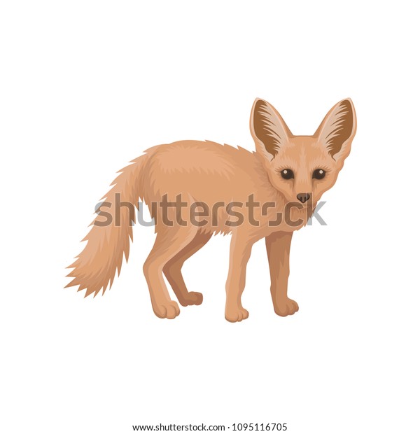 Detailed Flat Vector Icon Cute Fennec Stock Vector (Royalty Free ...
