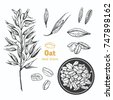 Oat Draw Photos, Images & Pictures | Shutterstock