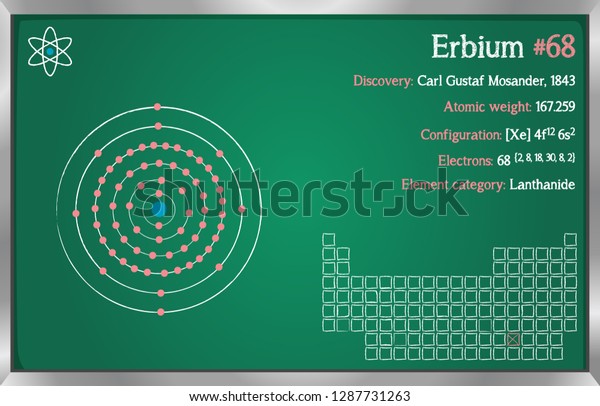 Detailed Infographic Element Erbium Stock Vector (Royalty Free ...
