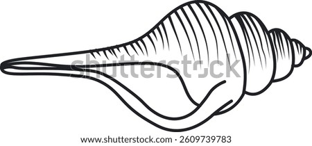 Conch Shell Line Drawing | Free download on ClipArtMag