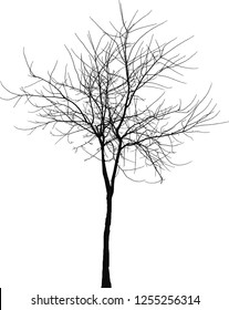 Detailed Tree Branch Vector Illustration: เวกเตอร์สต็อก (ปลอดค่า ...