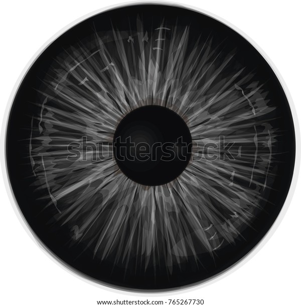 Devil Eye Black Eye Iris On Stock Vector (Royalty Free) 765267730 ...