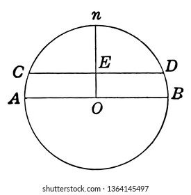 Diagram Circle Diameter Segment Used Find Stock Vector (Royalty Free ...