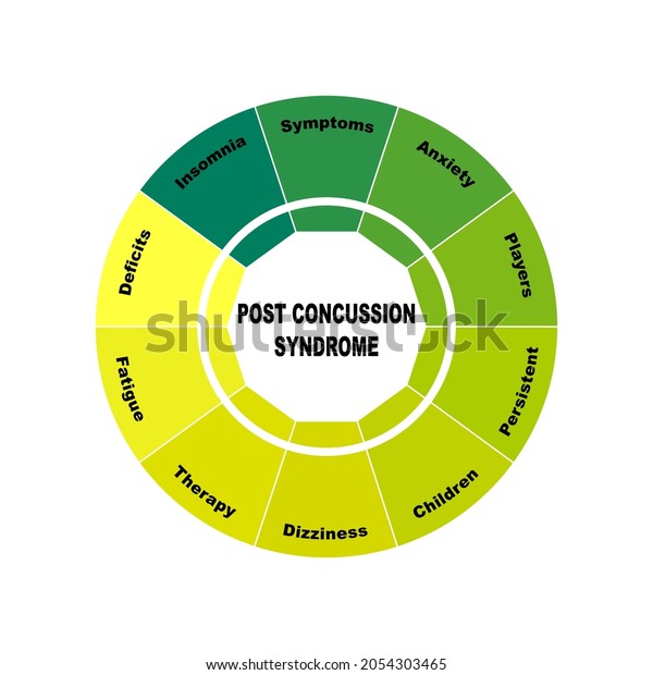 Diagram Concept Post Concussion Syndrome Text Stock Vector (Royalty ...