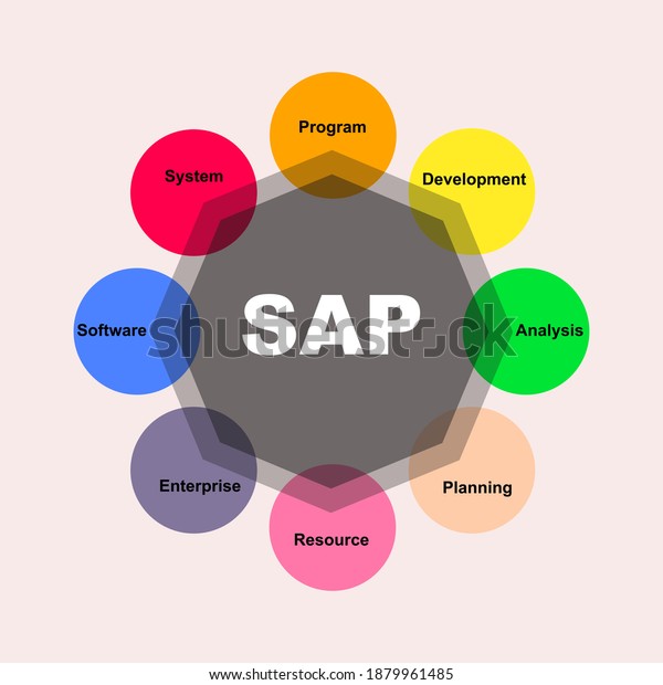 Vektor Stok Diagram Concept Sap Text Keywords Eps (Tanpa Royalti ...
