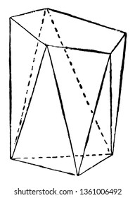 Diagramme montrant un prismatoïde qui est : image vectorielle de stock ...