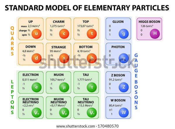 Diagram Standard Model Particle Physics 12 Stock Vector (Royalty Free ...