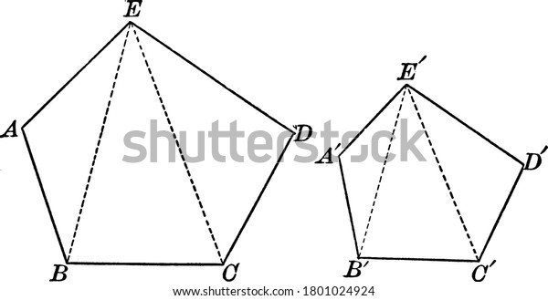 Diagram Which Two Similar Pentagons Shown: เวกเตอร์สต็อก (ปลอดค่า ...