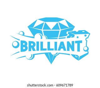 Diamond Logotype Cleaning Company Vector Brilliant Stock Vector ...