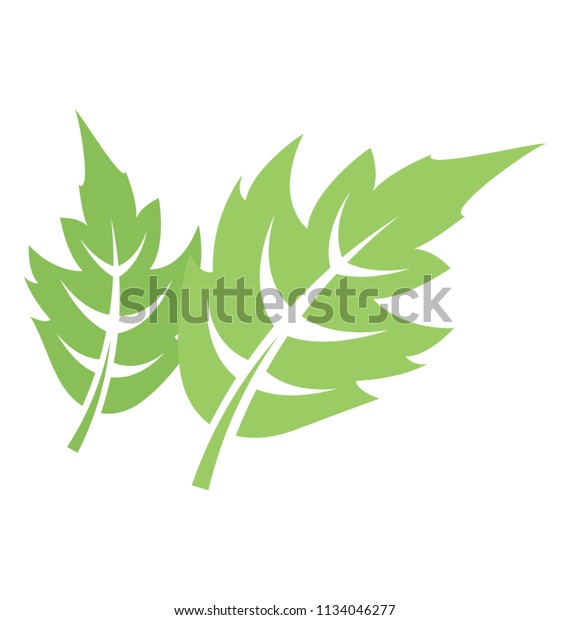 Diamond Shaped Two Leaves Corners Veins Stock Vector (Royalty Free ...