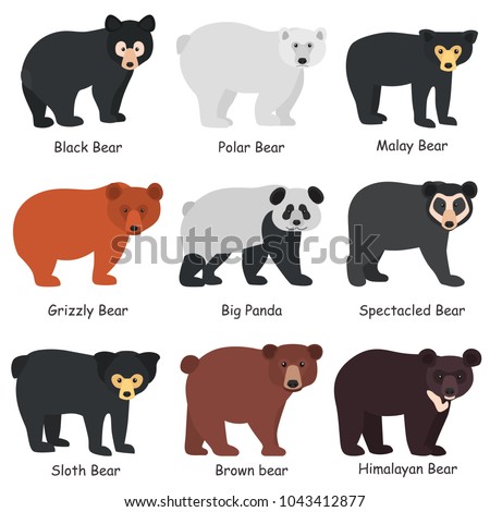 Different Bears Breeds Color Flat Icons Stock Vector (Royalty Free ...