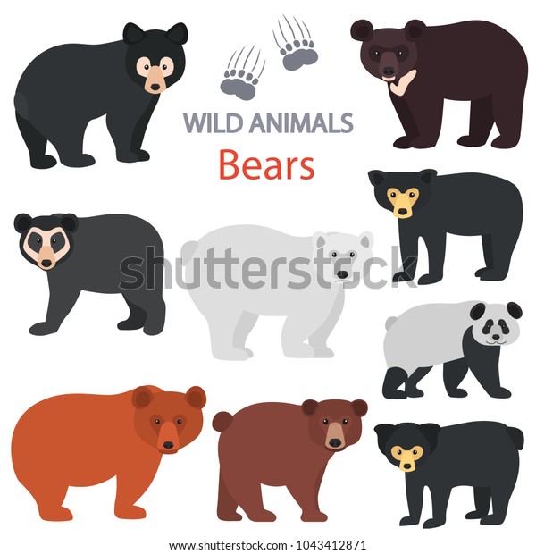 Different Bears Breeds Color Flat Icons Stock Vector (Royalty Free ...