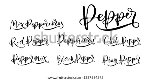 Different Kinds Pepper Written Modern Calligraphy Stock Vector (Royalty ...