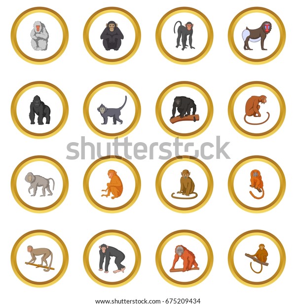 Different monkeys icons circle gold in cartoon style isolate on white ...