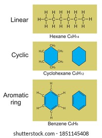 Different Shapes Hydrocarbon Molecules Stock Vector (Royalty Free ...