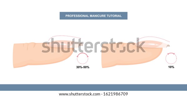 Different Shapes Nail Plate Side View Stock Vector (Royalty Free ...