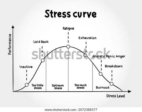 Different Stages Stress Curve Educational Diagram Stock Vector (Royalty ...