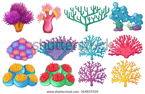 Different Type Coral Reef Illustration Stock Vector (Royalty Free ...