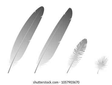 Different Types Bird Feathers Stock Vector (Royalty Free) 1057903670