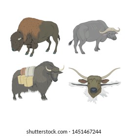 Different Types Bulls Cattle Stock Vector (Royalty Free) 1451467244 ...