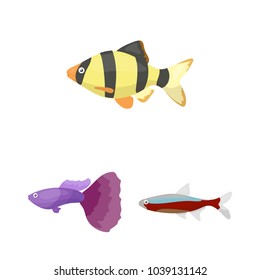Different Types Fish Cartoon Icons Set Stock Vector (Royalty Free ...