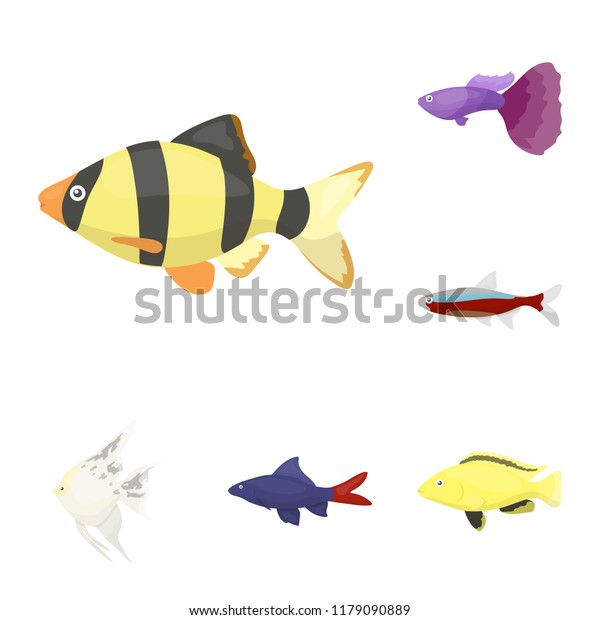 Different Types Fish Cartoon Icons Set Stock Vector (Royalty Free ...