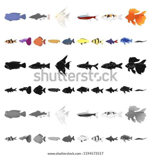 Different Types Fish Cartoon Icons Set Stock Vector (Royalty Free ...