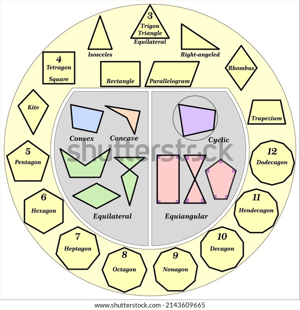Different Types Polygons Regular Concave Convex Stock Vector (Royalty ...