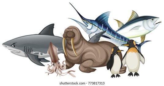 Different Types Sea Animals On White 库存矢量图(免版税)773817313 | Shutterstock Different Types Sea Animals On White 库存矢量图(免版税)773817313 | Shutterstock