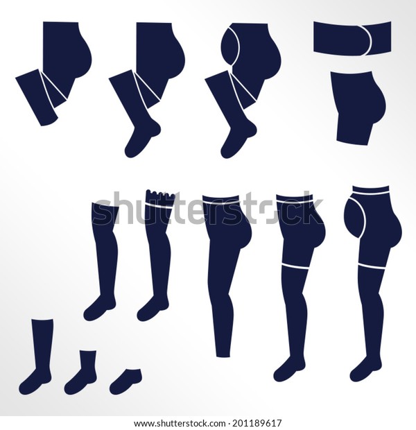 Different Types Womens Socks Tights Stockings庫存向量圖 (免版稅) 201189617