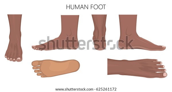 Different Views Afro American Human Foot Stock Vector (Royalty Free ...