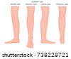 104+ Thousand Leg Anatomy Royalty-Free Images, Stock Photos & Pictures ...
